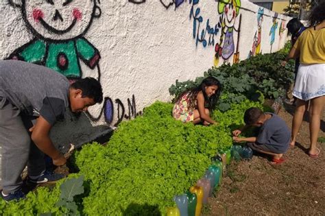 Pais E Estudantes Cultivam Horta Na Escola Municipal Mansur GuÉrios