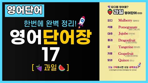 과일 영어단어장 17 한번에 완벽정리 영어단어장 왕초보영어 기초영어 영어 영어단어 과영어 Youtube
