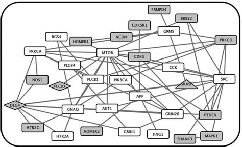 Mglur5 Hypofunction Is Integral To Glutamatergic Dysregulation In