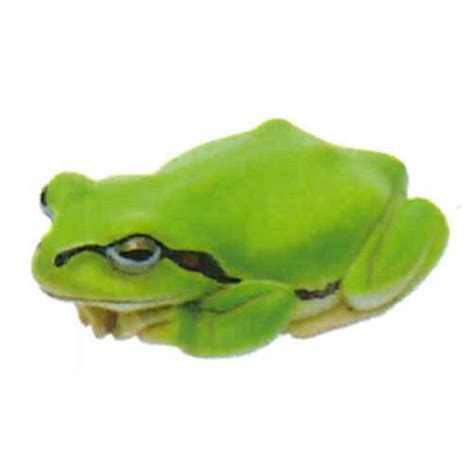 Nature Techni Colour Mono Plus Tree Frog Magnet And Ball Chain [6 Eyelid