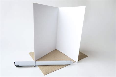 Murray Cod Sunshine Sea Art