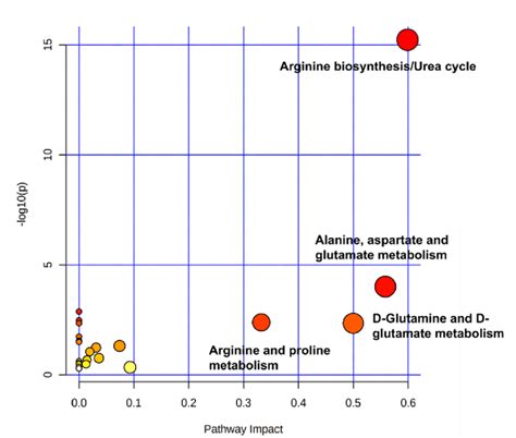 Metabolic Pathway Analysis By Metaboanalyst The Pathway Analysis Was