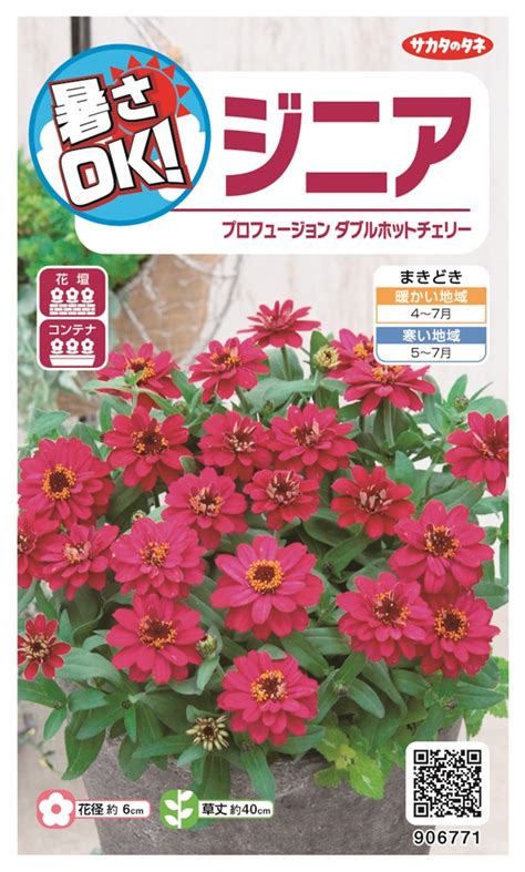 【楽天市場】サカタのタネ ジニア プロフュージョンダブルホットチェリーのタネ 内容量：02ml ：日光種苗