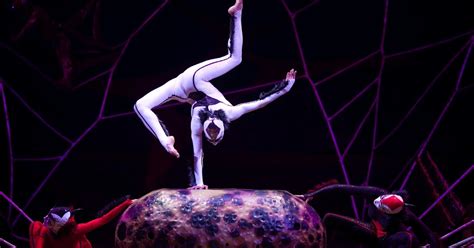 Eight Nights A Week Review Cirque Du Soleil Ovo
