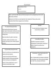Loop Diuretics Uses Side Effects And Patient Education Course Hero