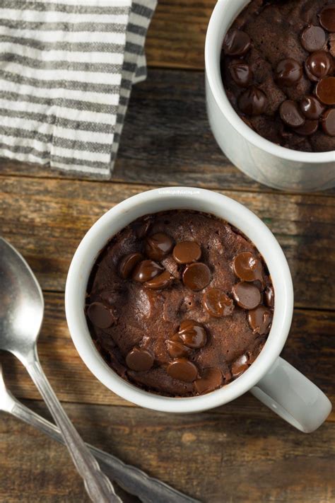 Low Calorie High Protein Chocolate Mug Cake Lose Weight By Eating