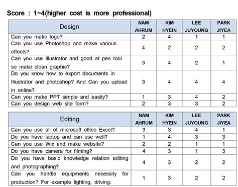 Skill Audit Kylie