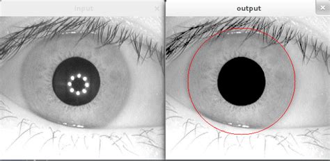 Some Insights On Iris Localisation Getting A Better Accuracy