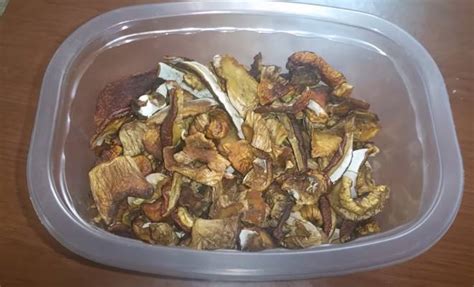 Как правильно сушить грибы в духовке в домашних условиях простой рецепт пошаговый