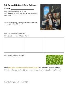 Biology Cell Structure And Function Guided Notes By KlineScience