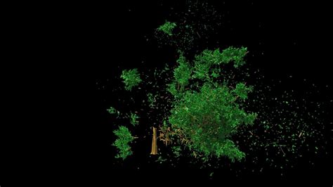 Houdini Tree Shatter Toolkit 3D Model 40 Unknown Free3D