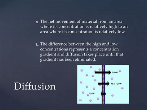 PPT The Cell And Cell Processes PowerPoint Presentation Free Download ID