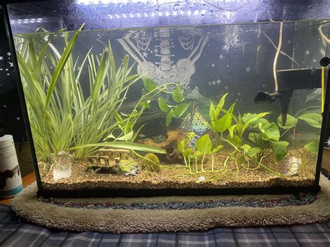 Tank In Question Album On Imgur Tank In Question Album On Imgur