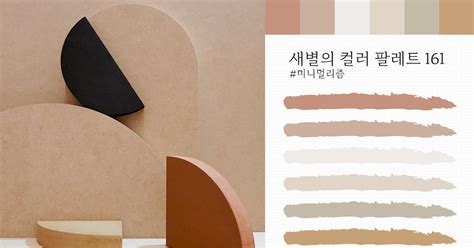 [powerpoint Color Palette Free Download] 새별의 컬러 팔레트 161 미니멀리즘 Saebyeol