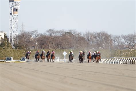 根岸sで注目すべき2頭。特異な東京ダート1400mで勝つためのコツ 日刊spa