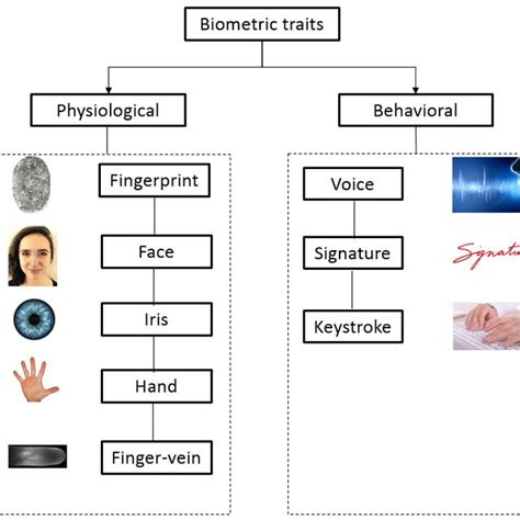 Structure Of Cryptography Key Generation Based On Biometric Features