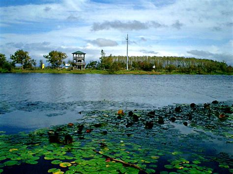 へらぶな広場 北村中央公園 北村温泉