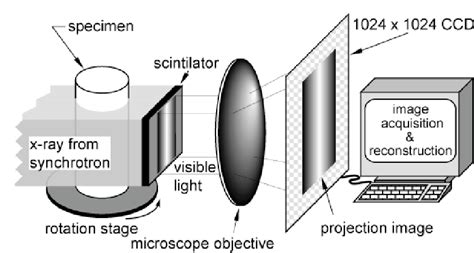 Schematic Illustration Of Microtomography Imaging System Download