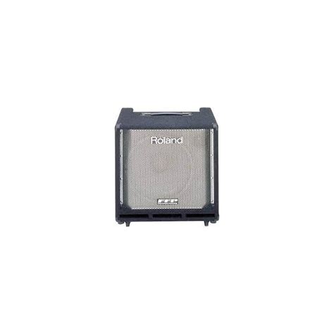 Roland Combo Bass Db500