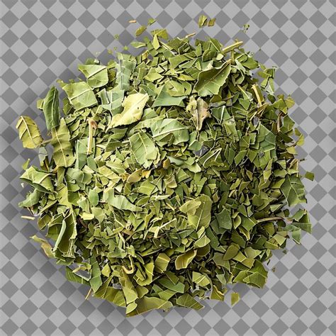 Premium Psd Yerba Mate Leaves Herb Type Ilex Paraguariensis Form Of