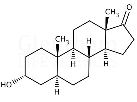 Androsterone Structure