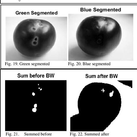 Figure 1 From Detection Quantification And Classification Of Ripened Tomatoes A Comparative