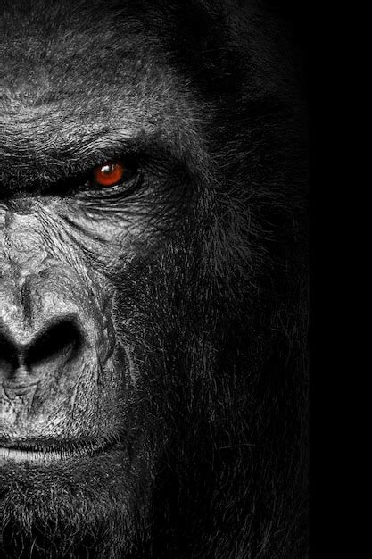 El Planeta De Los Simios Fondos De Pantalla Hd Foto Premium