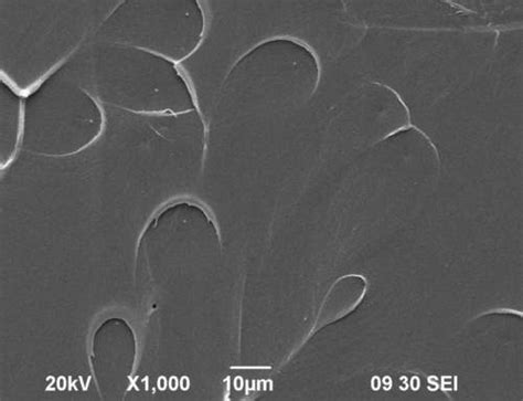 Research Uses 3D Printer To Create Shape Shifting Tensegrity Structures