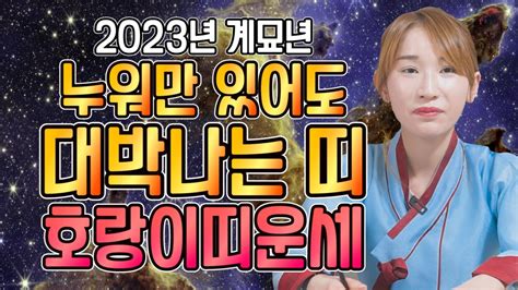 2023년 계묘년 대박나는 띠2023년 금전문열려 대박나는 호랑이띠운세 호랑이띠에게 생길 큰 변화들 62년생 74년생