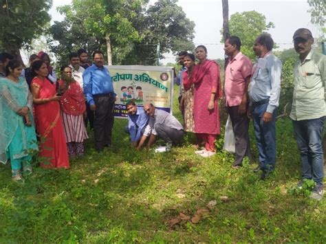 Saplings Planted Under Meri Mati Mera Desh Campaign मेरी माटी मेरा