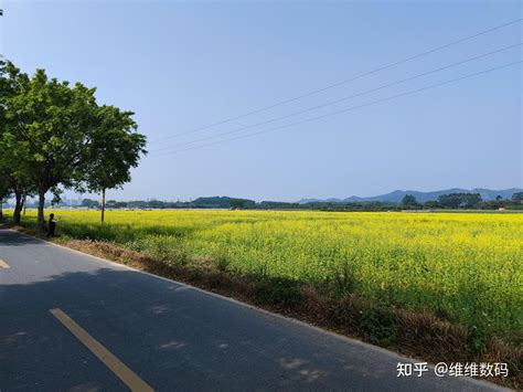 多图慎入！小米11ultra原生相机vs谷歌相机 知乎