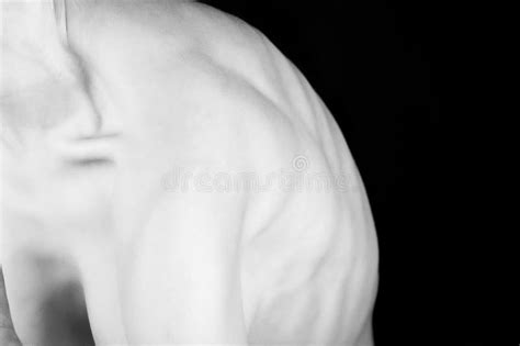 Partes Do Corpo Perfeitas Do Nude Imagem de Stock Imagem de fêmea sexualidade