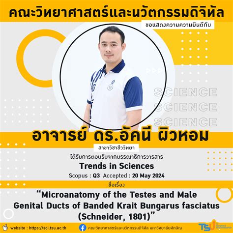 🌻คณะวิ คณะวิทยาศาสตร์และนวัตกรรมดิจิทัล มหาวิทยาลัยทักษิณ