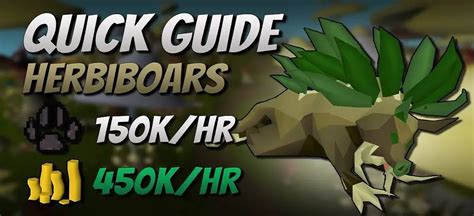 Osrs Herbiboar Guide Best Osrs Guides