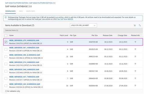 下载及安装SAP HANA数据库 004期 SAP Basis入门