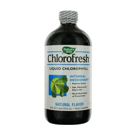 Nature's Way Chlorofresh Liquid Chlorophyll Natural - 16 fl oz ...
