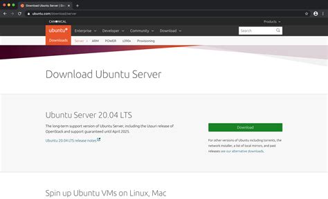 รววการตดตง Ubuntu Server 20 04 LTS Nelisys