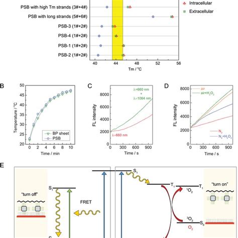 A Tm Of Psb Self‐assembly Structure In Physiological Media B Download Scientific Diagram