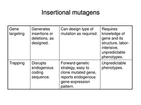 Ppt Mouse Mutagenesis Powerpoint Presentation Free Download Id3294047