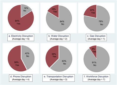 Critical Infrastructure Resilience Sisi Meng