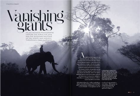 Photo Features Katie Ackerman