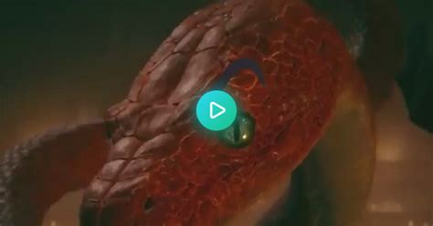 Snake Sus Album On Imgur