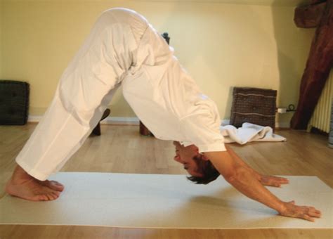Posizioni Yoga Da Fare A Casa Idee Green