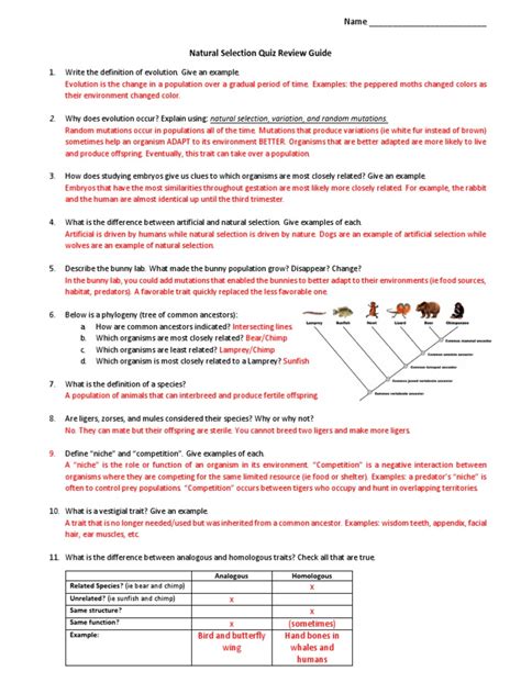 Natural Selection Quiz Review Guide Answer Key Pdf Natural