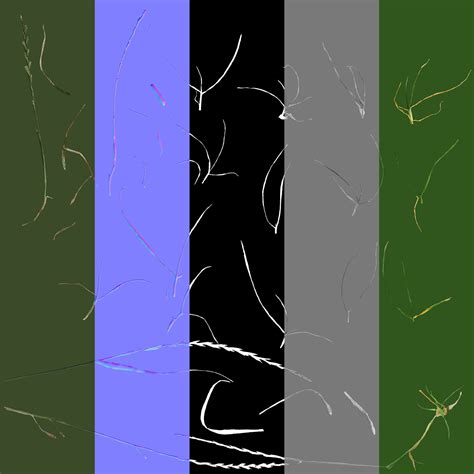 Perennial Ryegrass 3d Model Pack