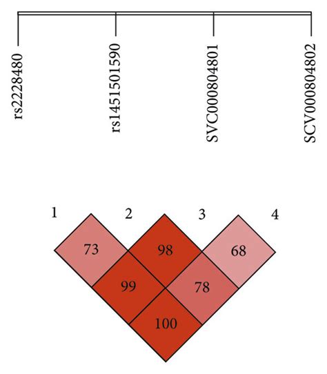 A B Linkage Disequilibrium Chart Of Esr 1α Gene Polymorphic Sites In