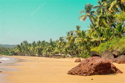Cola Beach Goa India Stock Photo NeoMelange 81295334
