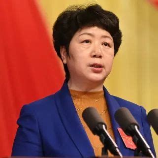 聚焦省两会刘运梅委员代表民建湖北省委作大会发言 中国民主建国会湖北省委员会