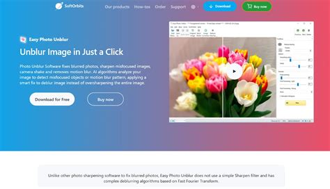 Top 11 Best Fun Games For Android In 2024 Nsfw