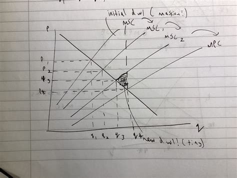 Regulation And Evaluation Flashcards Quizlet